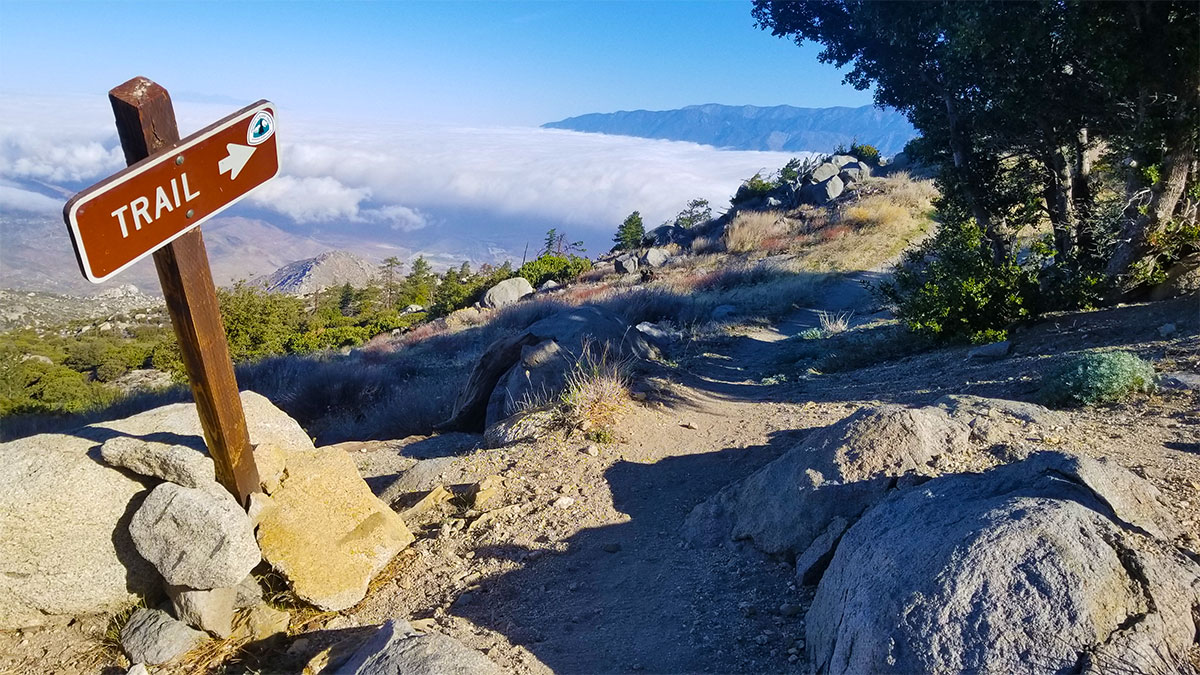 32 Fun and Interesting Facts About Hiking - mygreenform.com